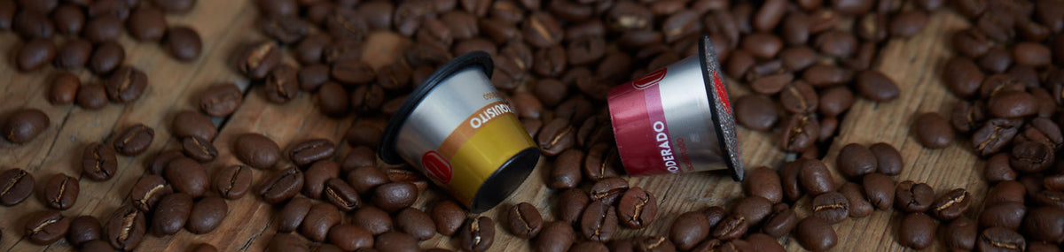 Conviértete en nuestro distribuidor | Café Caribe